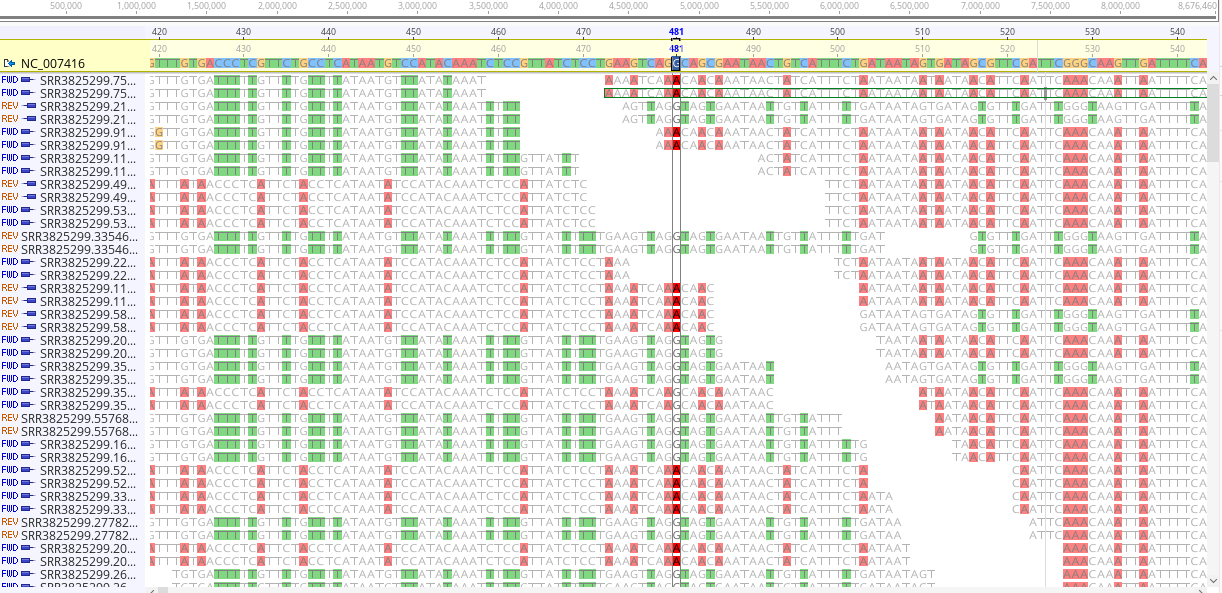 Methylation Coverage Question Problem · Issue 521 · Felixkrueger Bismark · Github