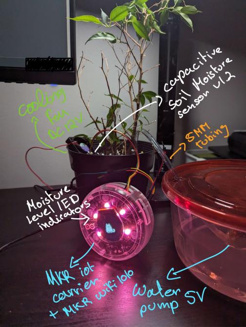 GitHub - Isaaruwu/Plant-e: :potted_plant: Plant-e is a self-watering ...