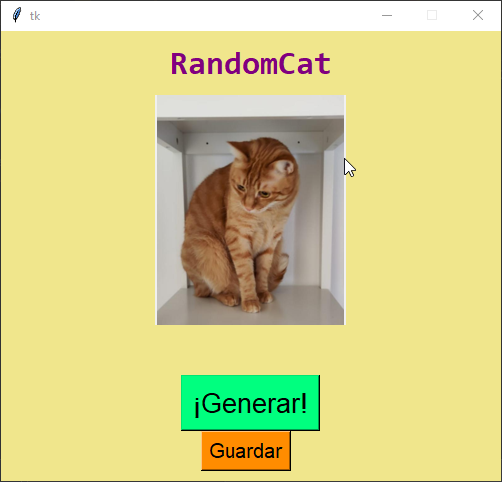 GitHub - LeoManzana/RandomCatsTkinter: Generador de imagenes de gatos ...