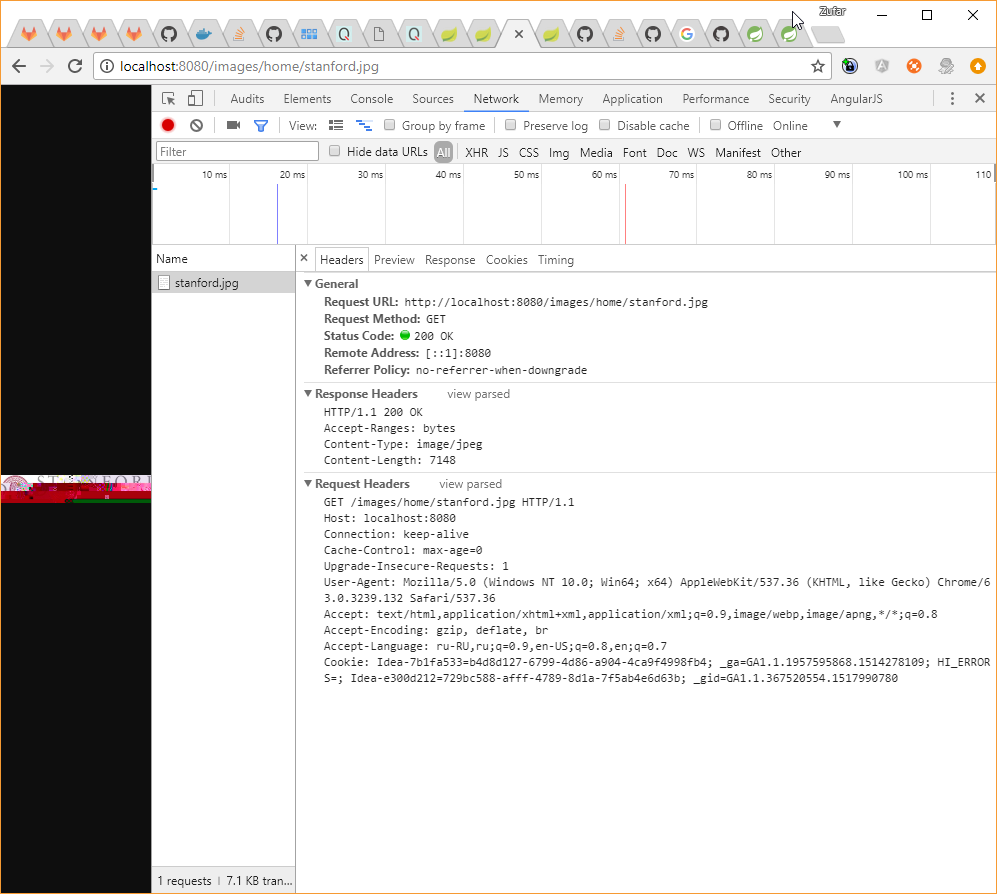 JPG and PNG static resources not displayed in browser · Issue #184 · spring-cloud/spring-cloud ...