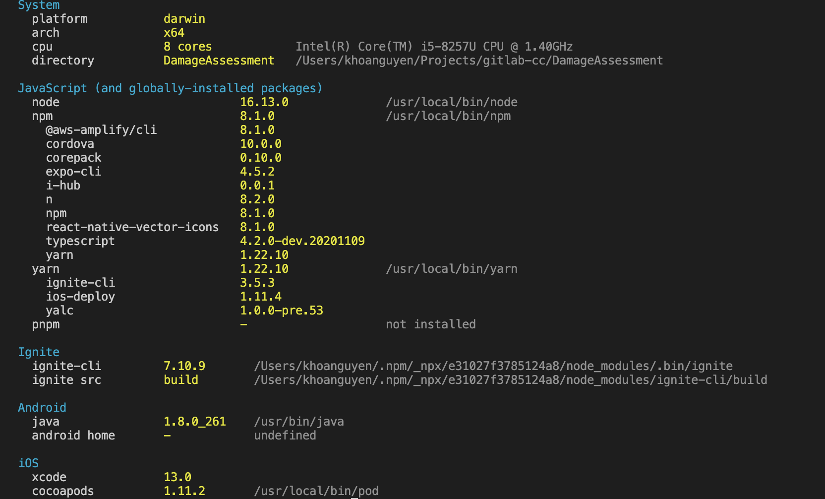 Problem with aws-amplify · Issue #1939 · infinitered/ignite · GitHub