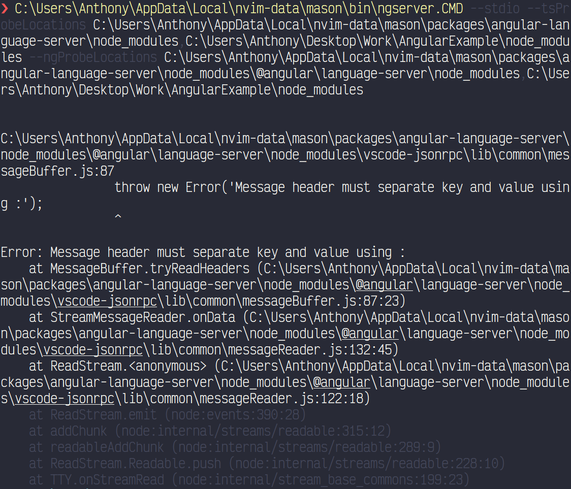 [Angular] Spawning server failed · Issue #69 · mason-org/mason-lspconfig.nvim · GitHub