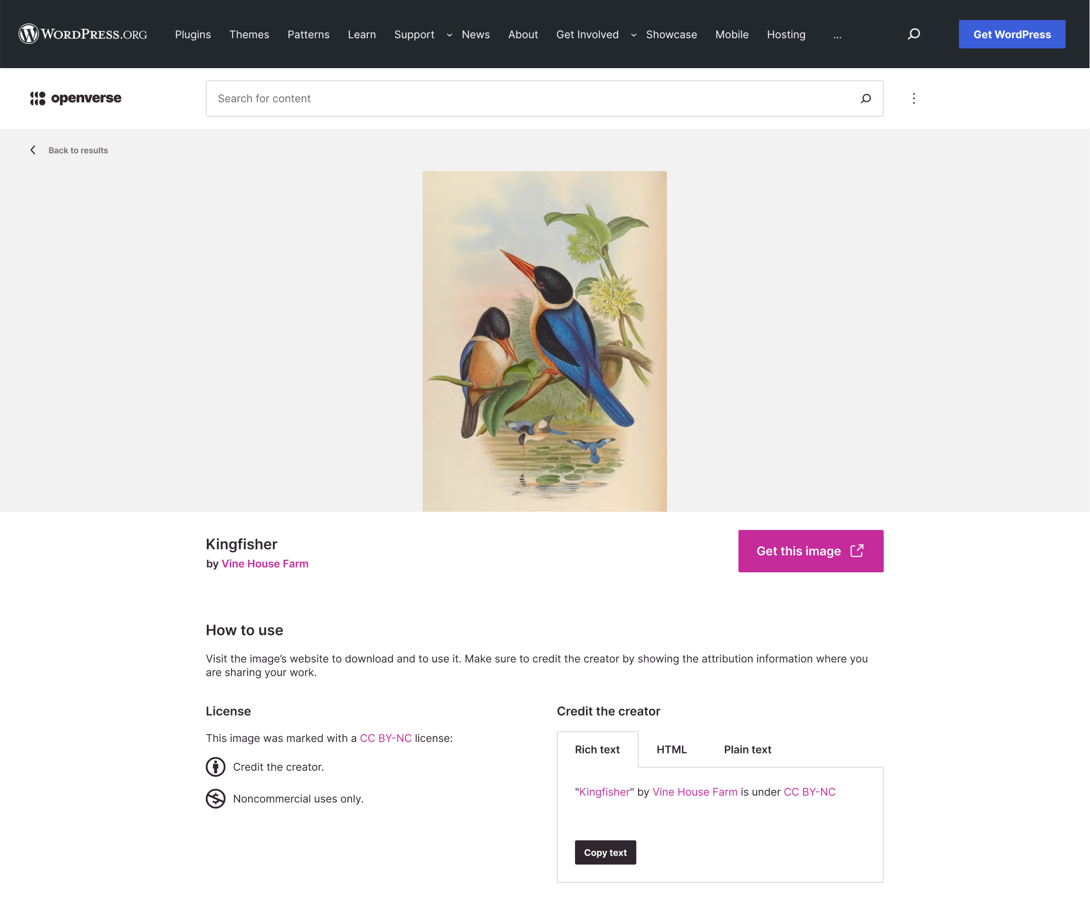Copy improvements in the search flow · Issue #1701 · WordPress/openverse-frontend · GitHub