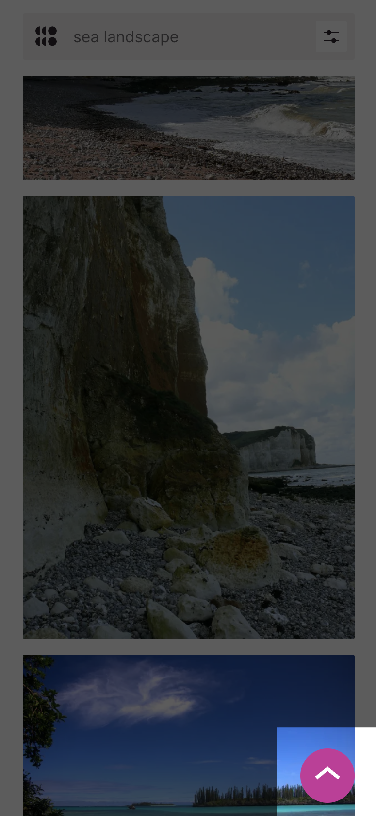 Analytics event: `BACK_TO_TOP` · Issue #2276 · WordPress/openverse · GitHub