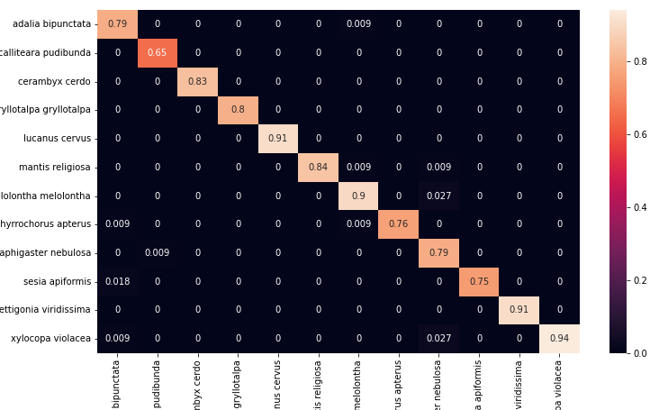 GitHub - deksa89/Insect-classification-model-tensorflow-keras