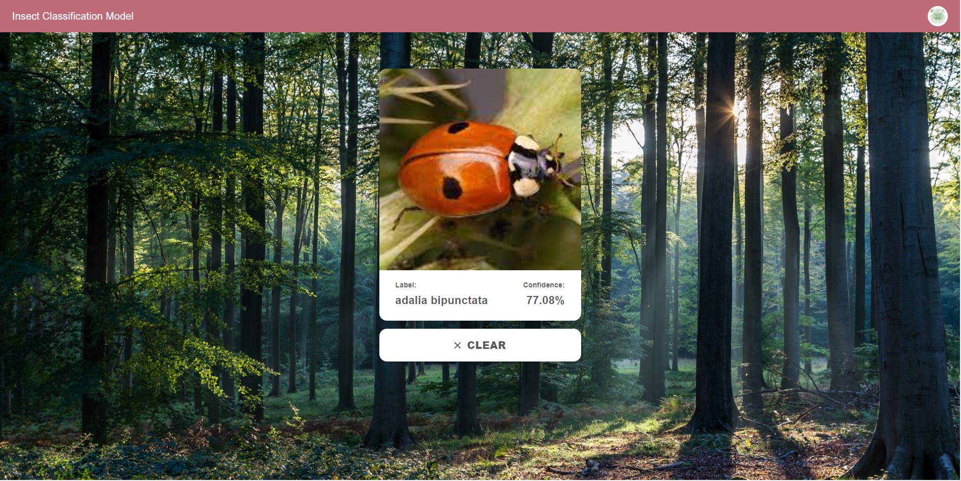 GitHub - deksa89/Insect-classification-model-tensorflow-keras