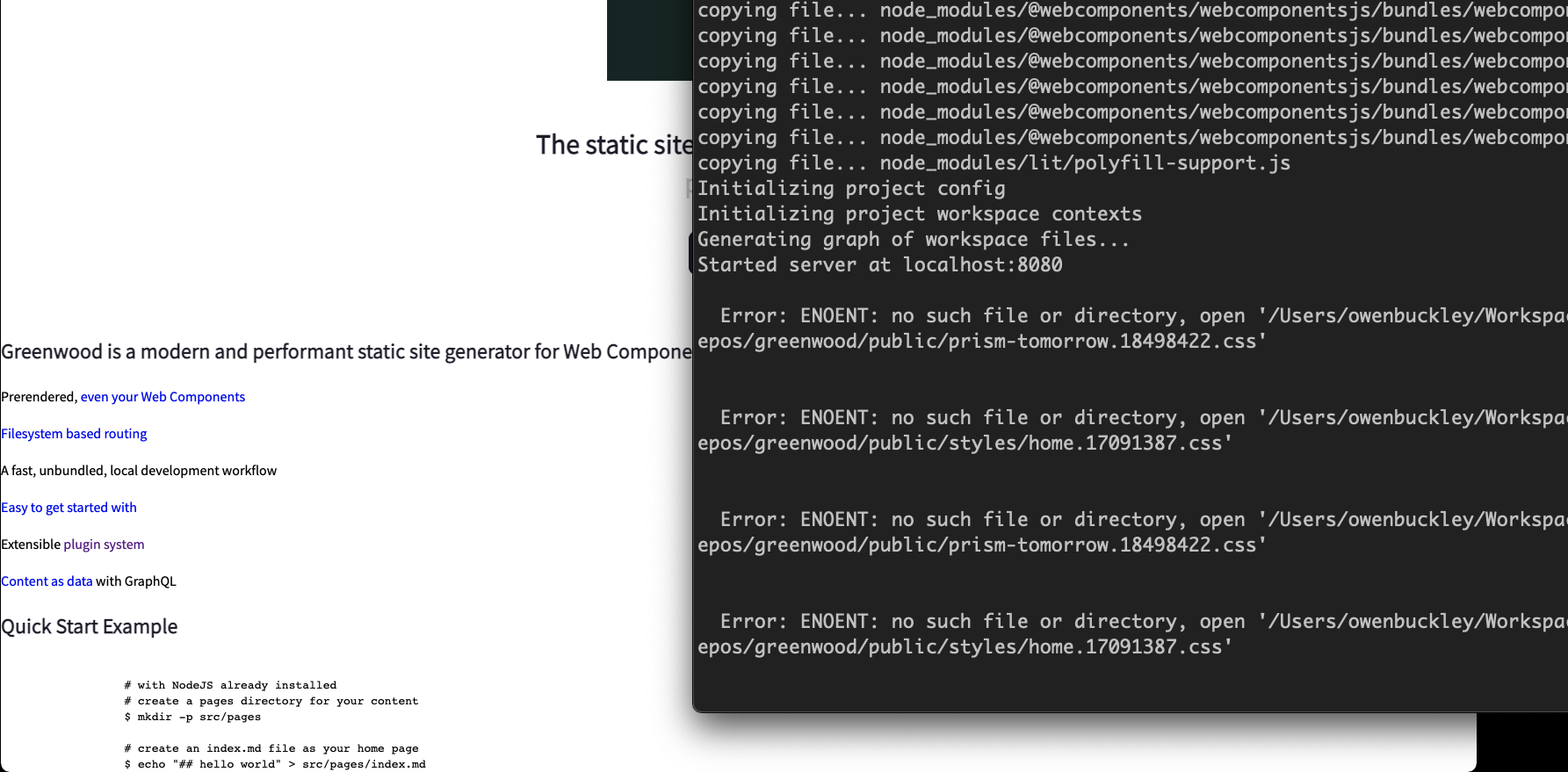 setting `prerender: false` and `optimization: inline` leads to broken and missing styles · Issue ...