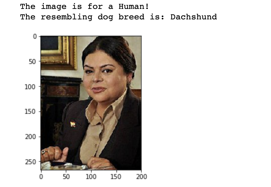 Github Ijoud Dog Breeds Classifier Trained Multiple Cnns From