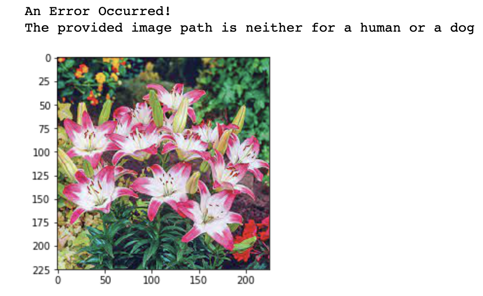 Github Ijoud Dog Breeds Classifier Trained Multiple Cnns From