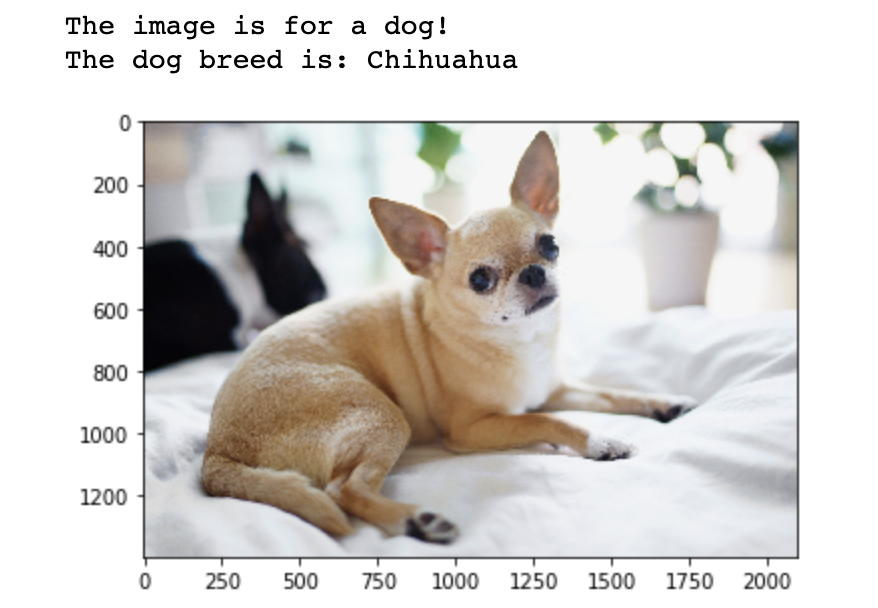 GitHub - iJoud/Dog-Breeds-Classifier: Trained multiple CNNs (from scratch & fine-tuned models ...