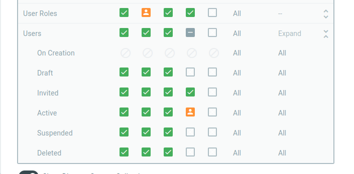 Creating item to "directus_user_roles" collection was denied when ...