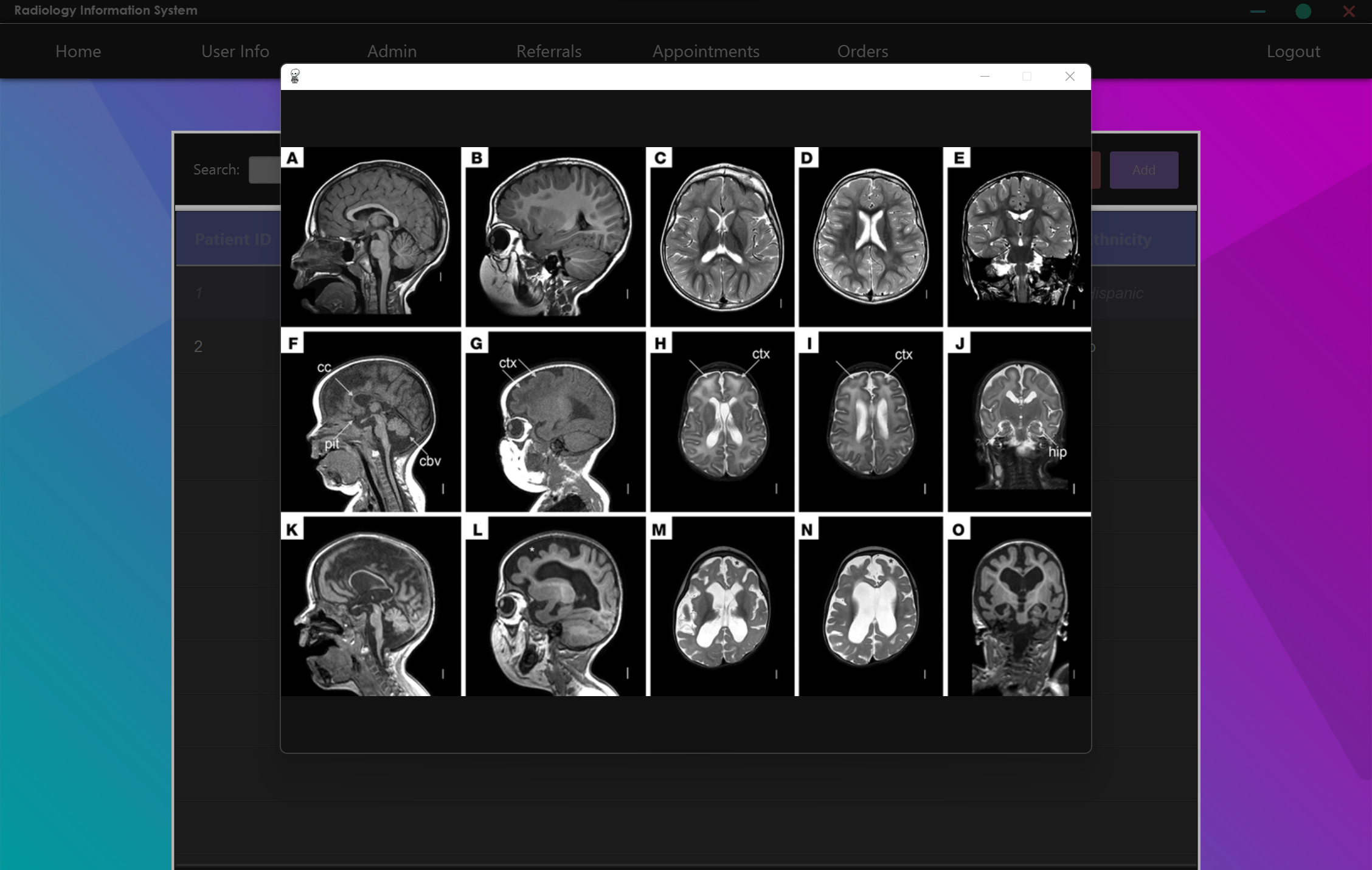GitHub - JMisley/RadiologyInformationSystem