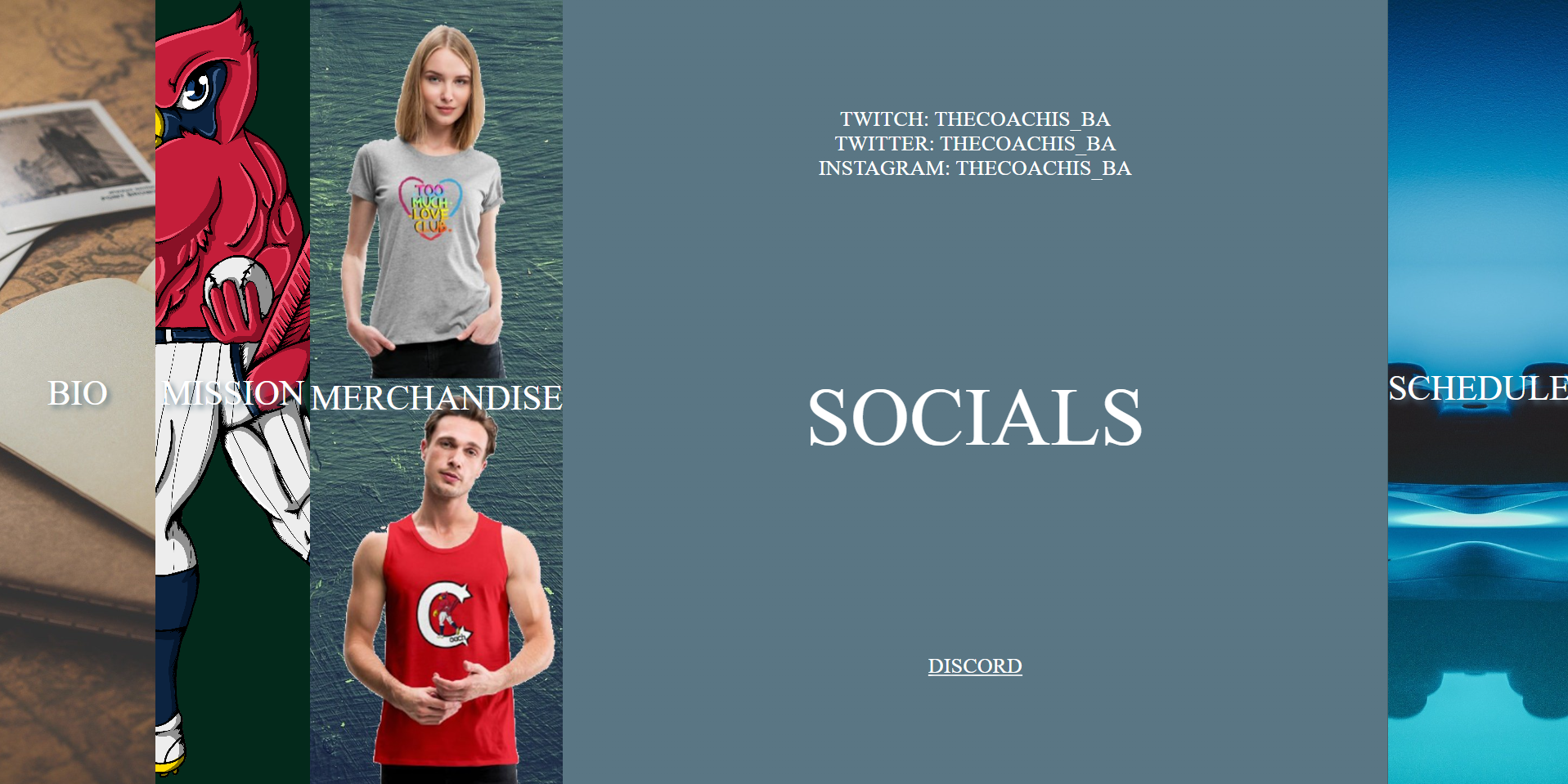 GitHub - Barget20/Streamer_Profile: This is a sample creator demo of ...