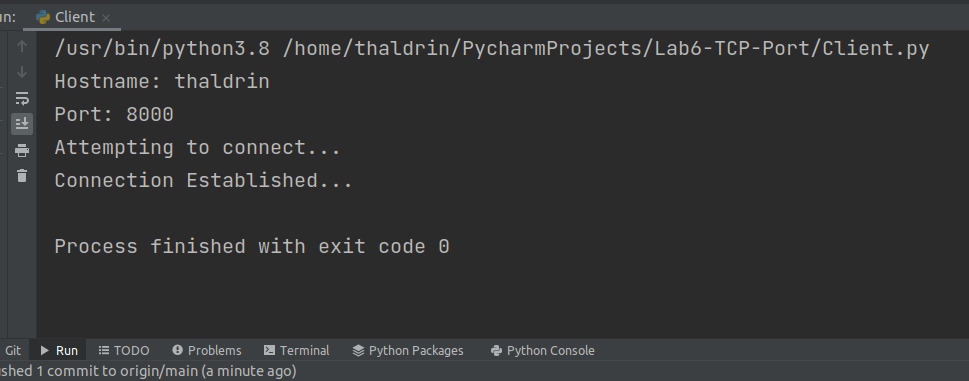 GitHub - GreenDragonTavern1765/Lab6-TCP-Port: Lab 6 for Networks and ...