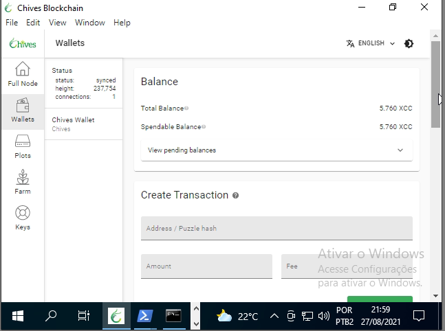Bug error in wallet entry accounting Please help me · Issue #8254 · Chia-Network/chia-blockchain ...