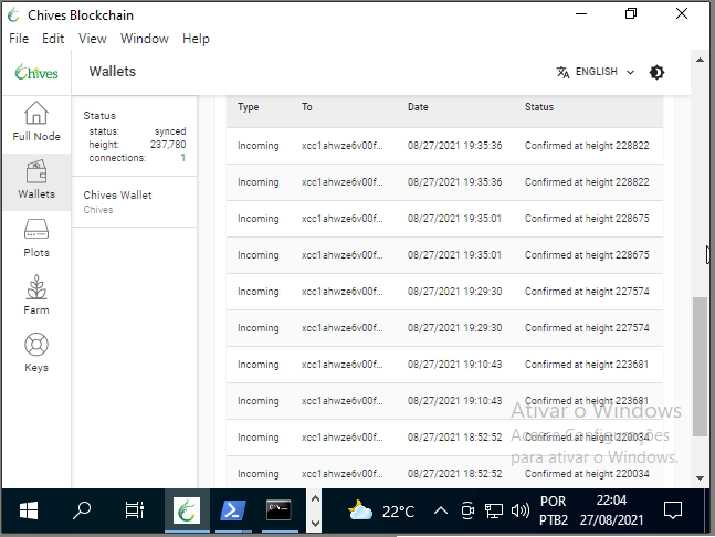 Bug error in wallet entry accounting Please help me · Issue #8254 · Chia-Network/chia-blockchain ...