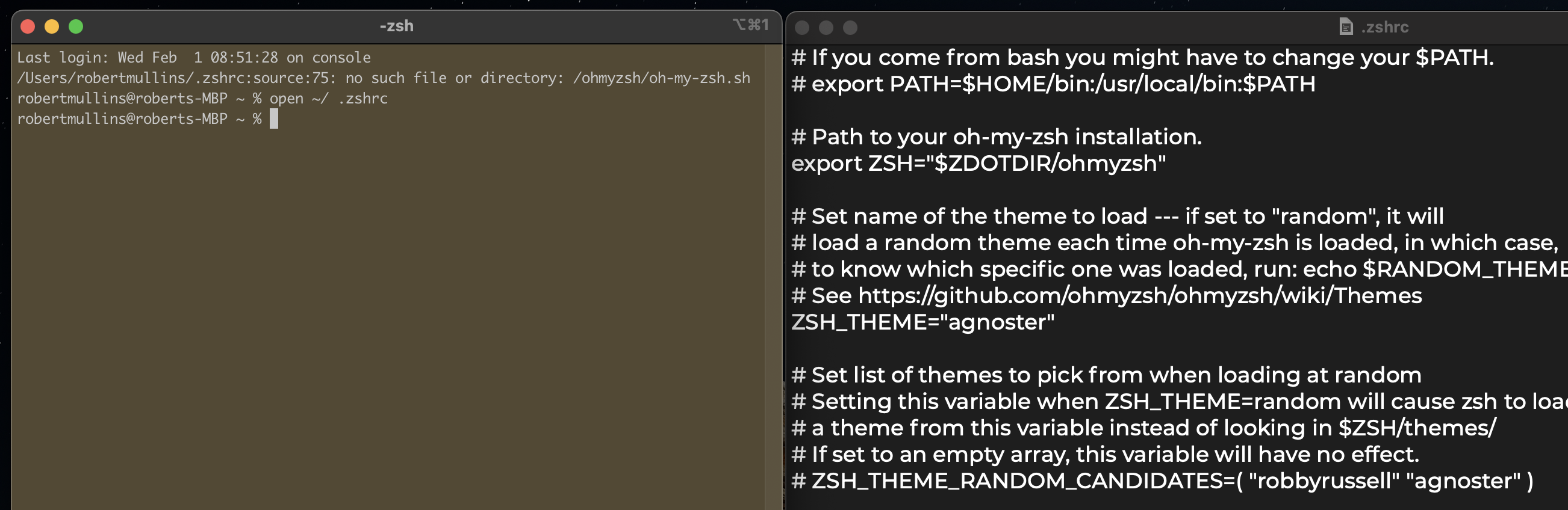 no such file or directory: /ohmyzsh/oh-my-zsh.sh · Issue #11471 · ohmyzsh/ohmyzsh · GitHub
