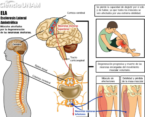 GitHub - MariaRejas/intro_E6