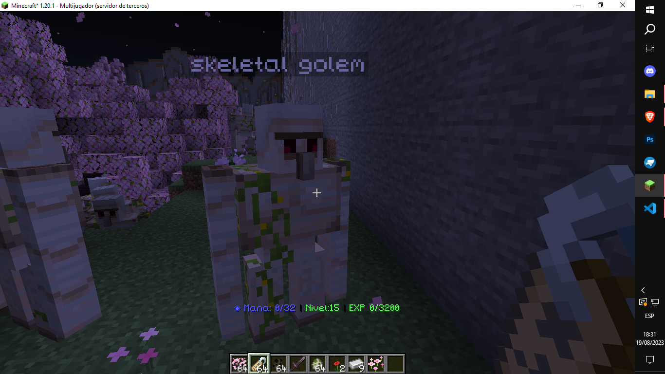 [BUG] "Iron golem random texture doesn't work" · Issue #197 · Traben-0/Entity_Texture_Features ...