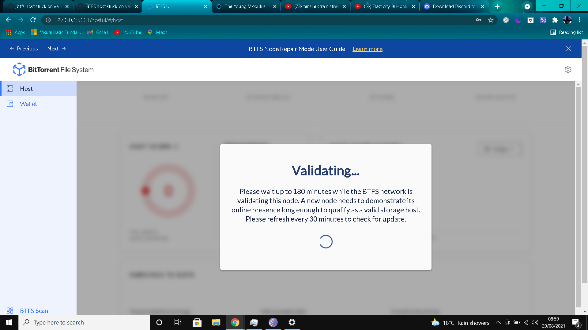 BTFS host stuck on validation · Issue #1117 · TRON-US/go-btfs · GitHub