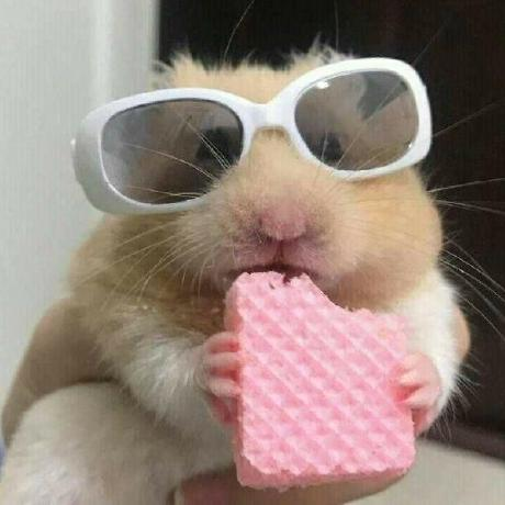 GitHub - depromeet/toks-web: Depromeet 12th 똑스 서비스의 Frontend 레포입니다.