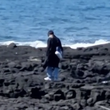 GitHub - depromeet/toks-web: Depromeet 12th 똑스 서비스의 Frontend 레포입니다.