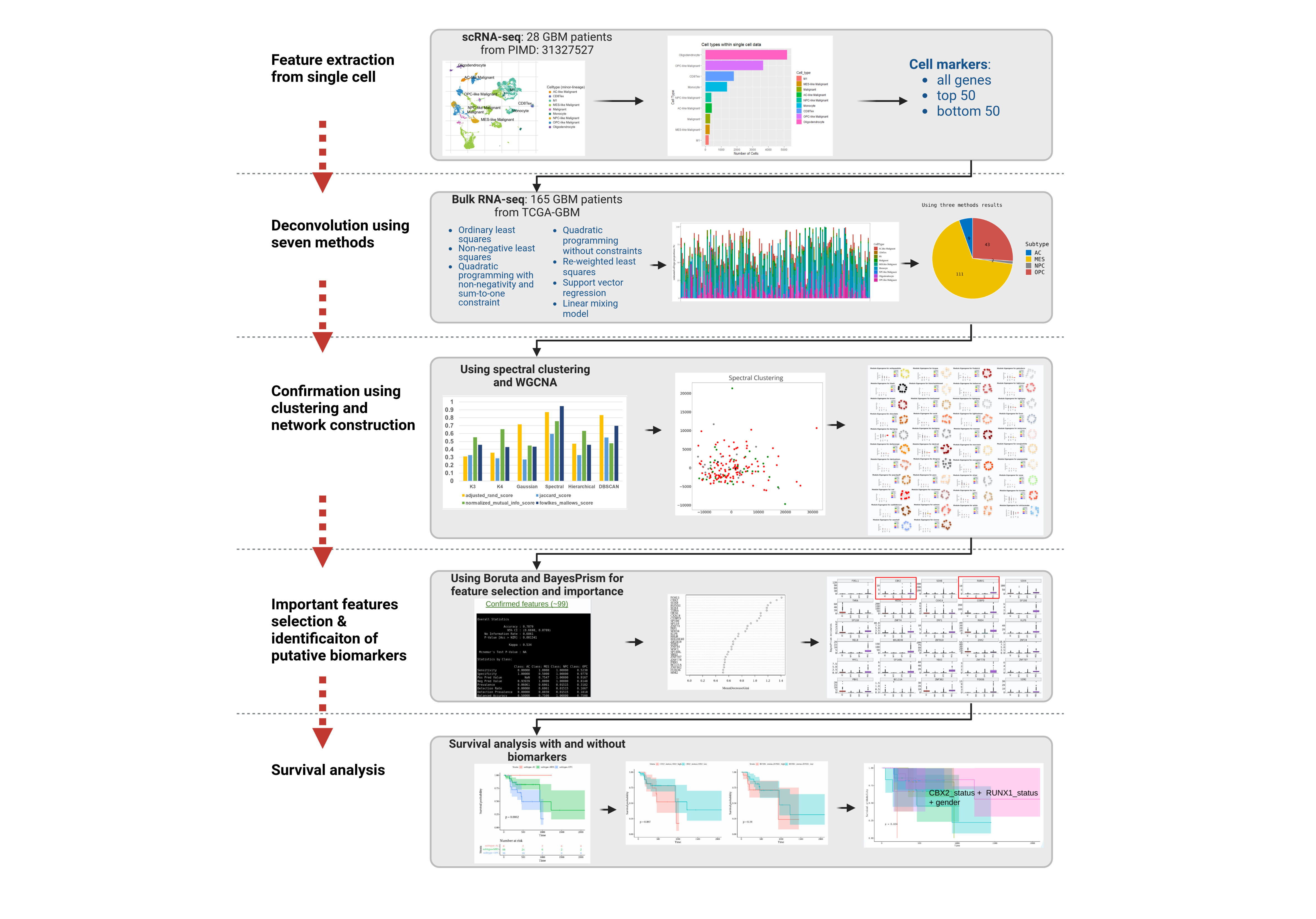 GitHub - MahnoorNGondal/Glioblastoma_machinelearningmodel