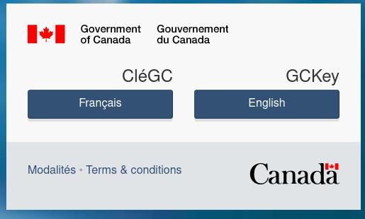 🐛 GCKey, not GC Key · Issue #6284 · GCTC-NTGC/gc-digital-talent · GitHub