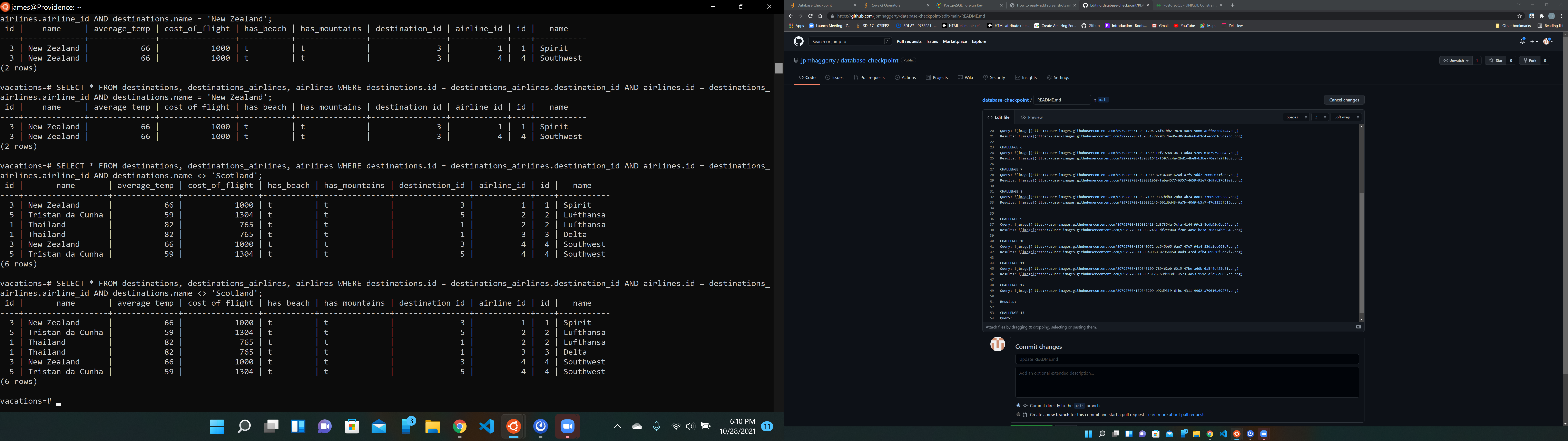 GitHub - jpmhaggerty/database-checkpoint: Database checkpoint