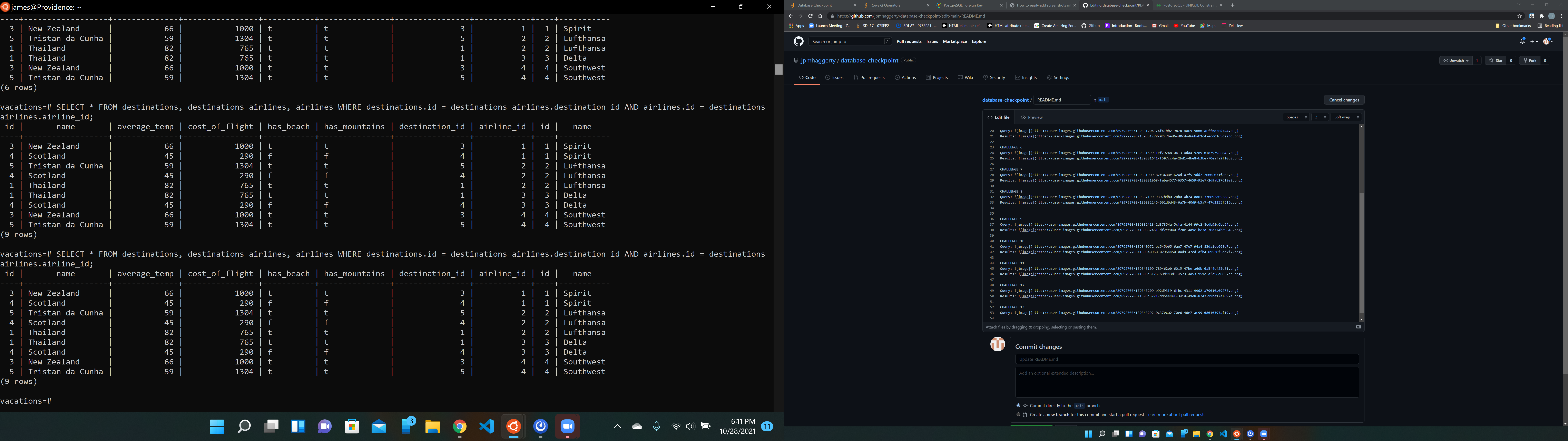 GitHub - jpmhaggerty/database-checkpoint: Database checkpoint