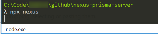 npx nexus hangs, without any information or prompt (Windows) · Issue #917 · prisma-labs/graphql ...