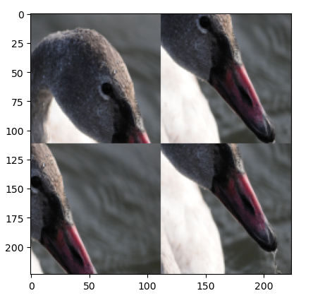 GitHub - tameidan/CSE455FinalProject: Final Project for CSE455 (Kaggle Bird Classifier Competition)
