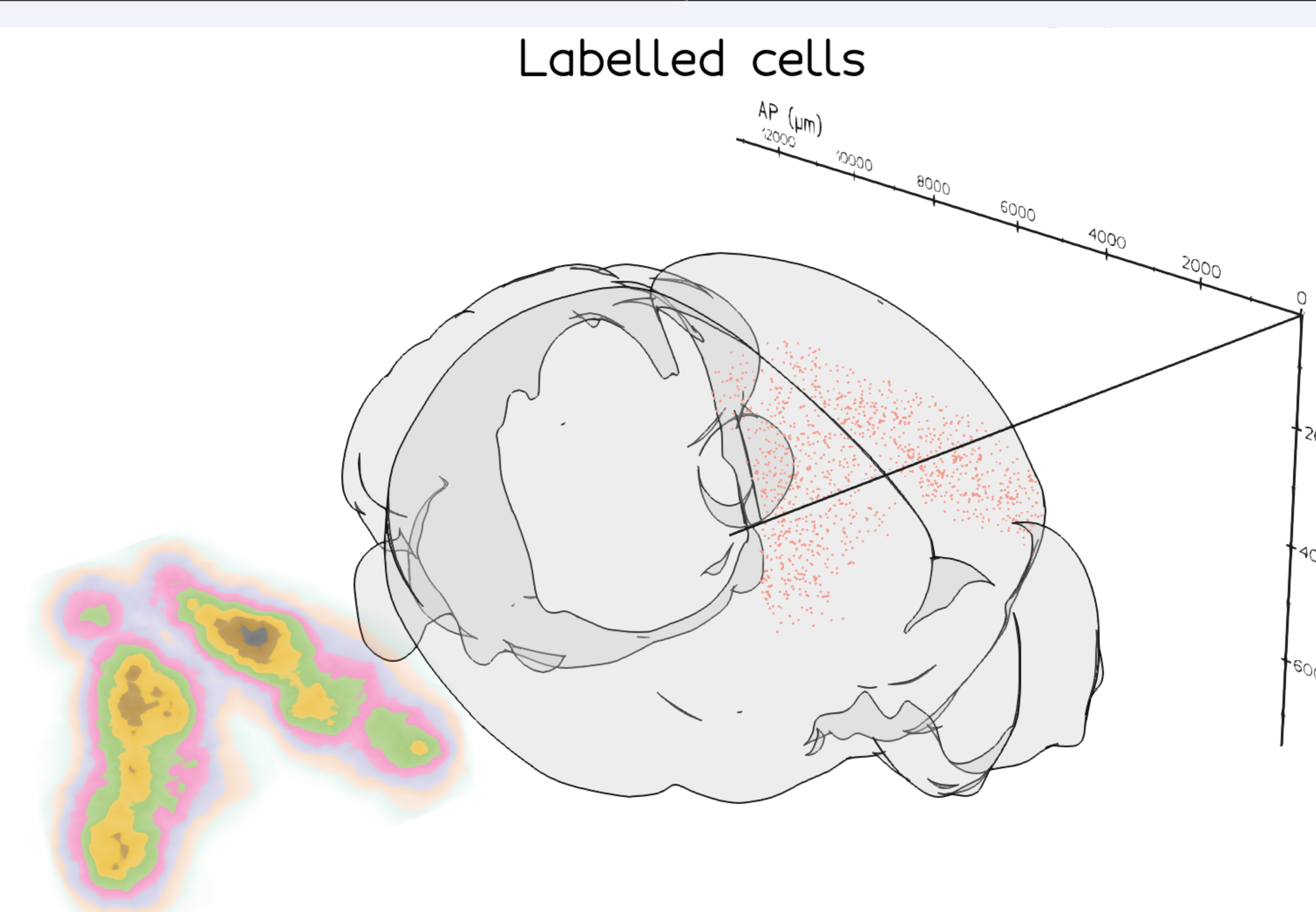 [BUG] cell_density example is not working correctly · Issue #243 ...