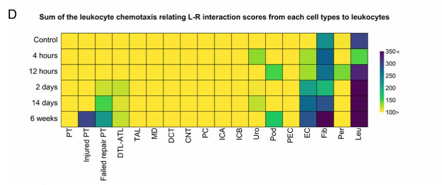 Heatmap · Issue #319 · sqjin/CellChat · GitHub