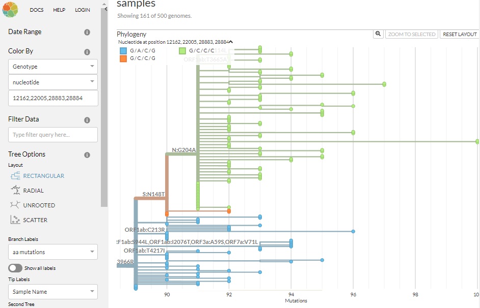 Possible lineage XBB.2.* with ORF1ab: Q3966R, Spike: N148T, N: R203K ...