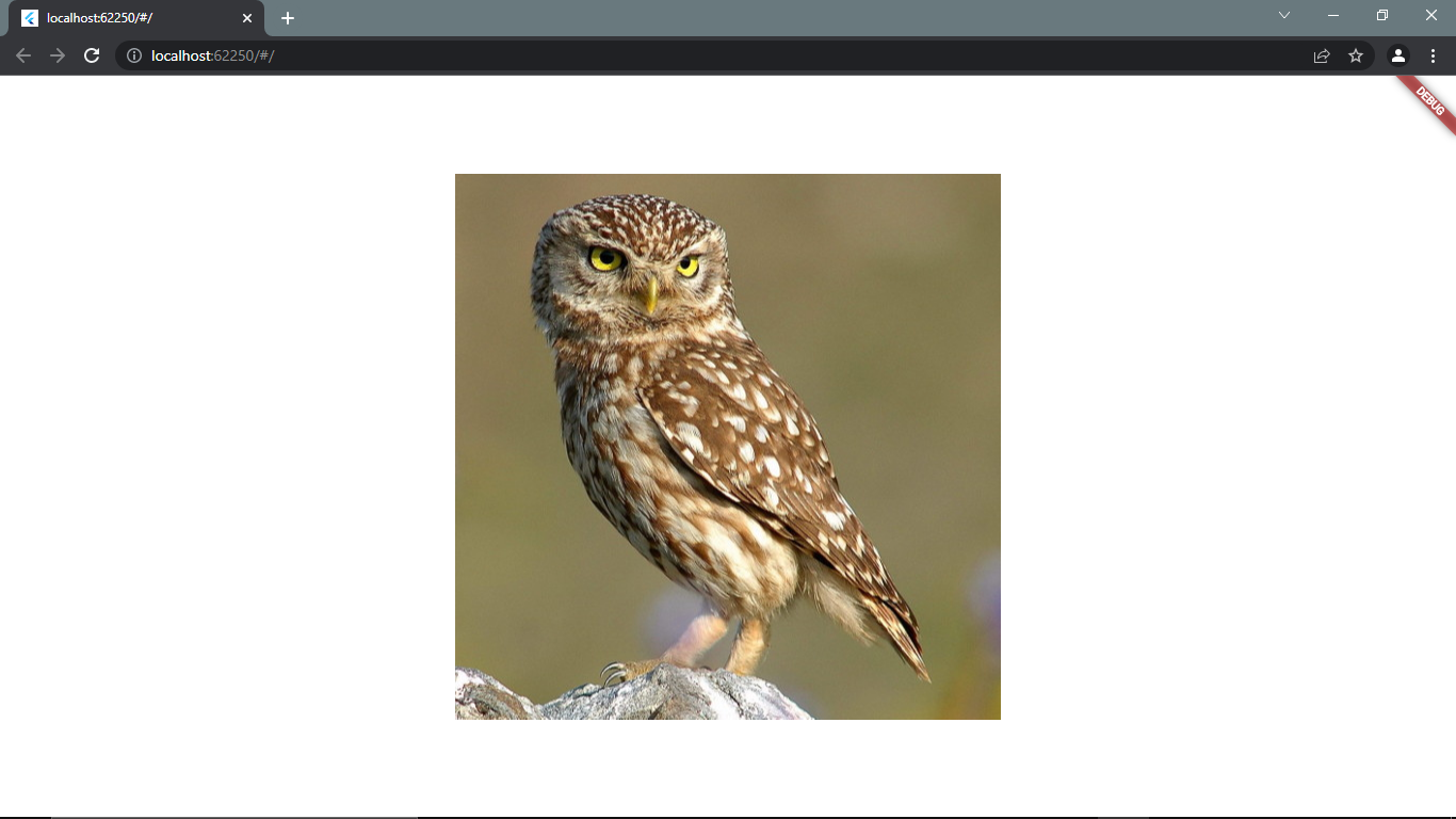 GitHub - PriescaLeylya/02-basic-flutter