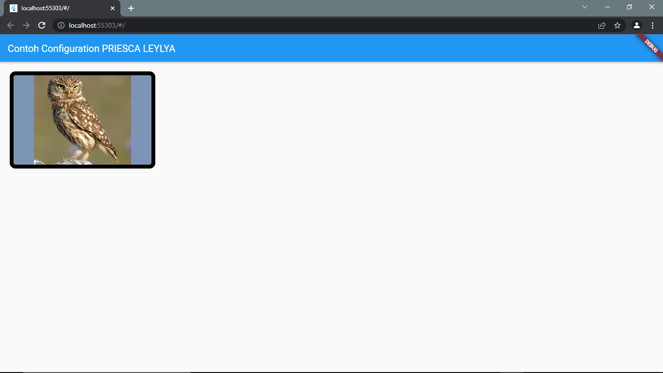GitHub - PriescaLeylya/02-basic-flutter