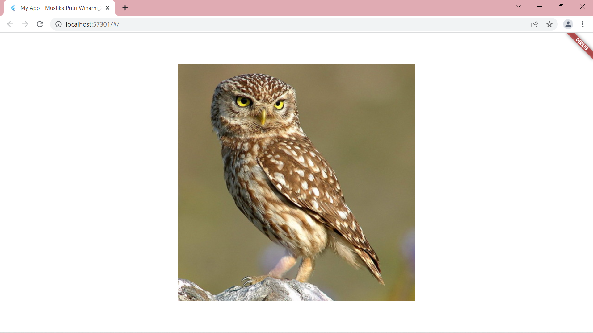 GitHub - mustikap08/02-basic-flutter