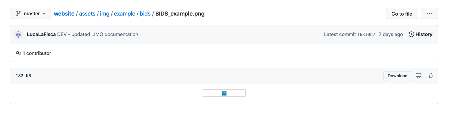 BIDS example image is broken · Issue #456 · fieldtrip/website · GitHub