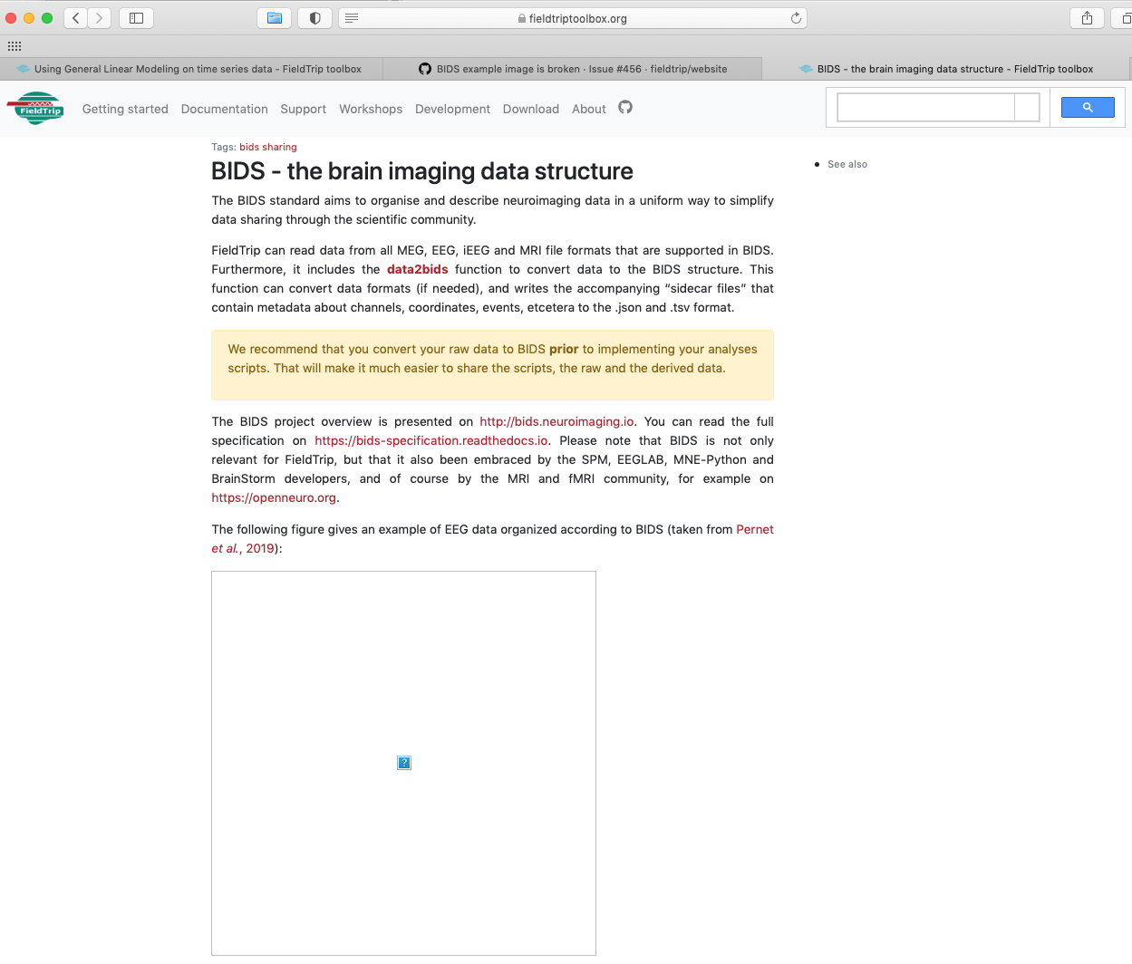 BIDS example image is broken · Issue #456 · fieldtrip/website · GitHub