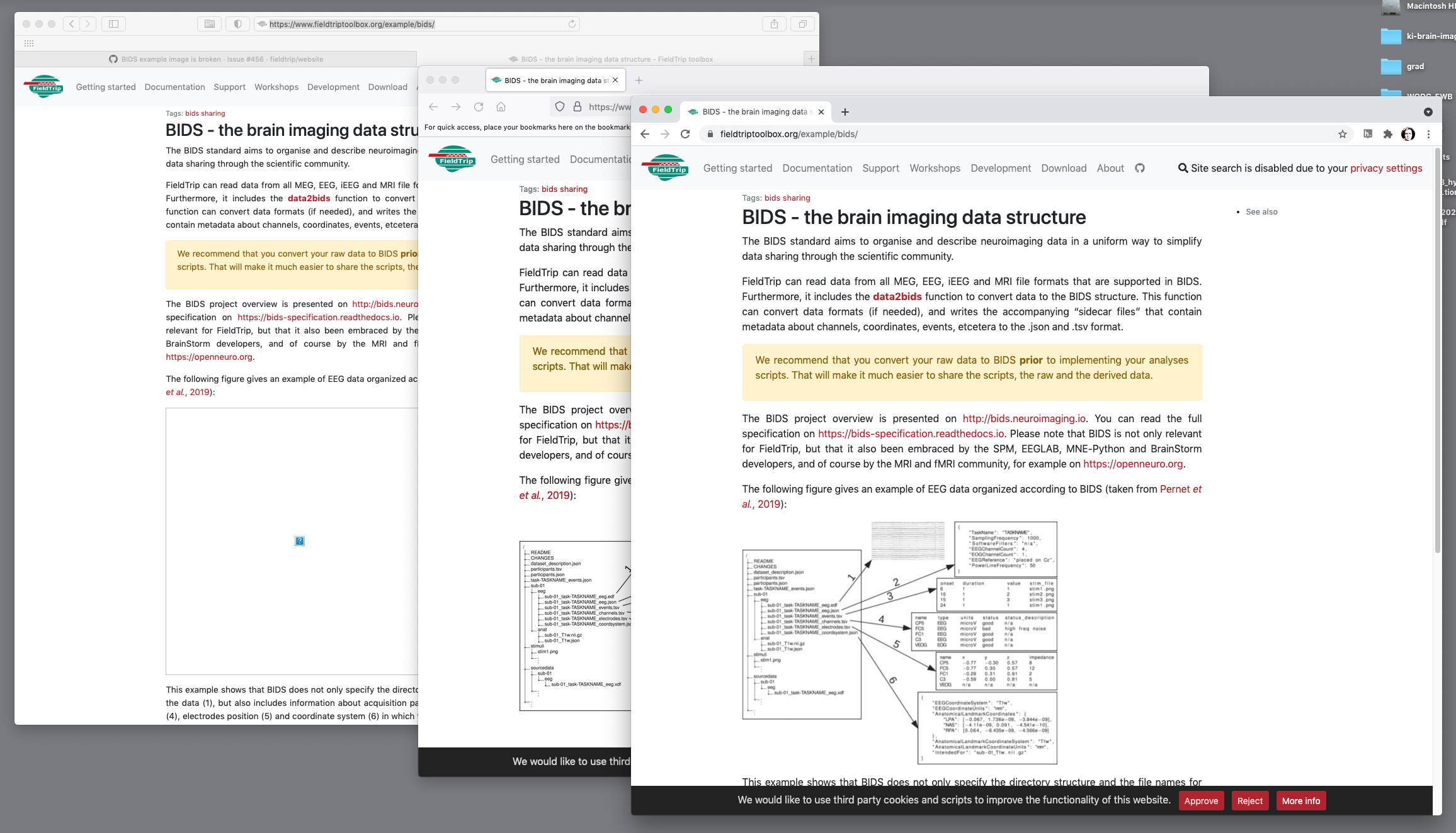 BIDS example image is broken · Issue #456 · fieldtrip/website · GitHub