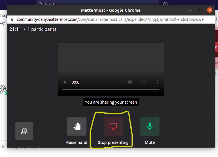 Start call Functionality, Screen Sharing Stop working and not able to ...