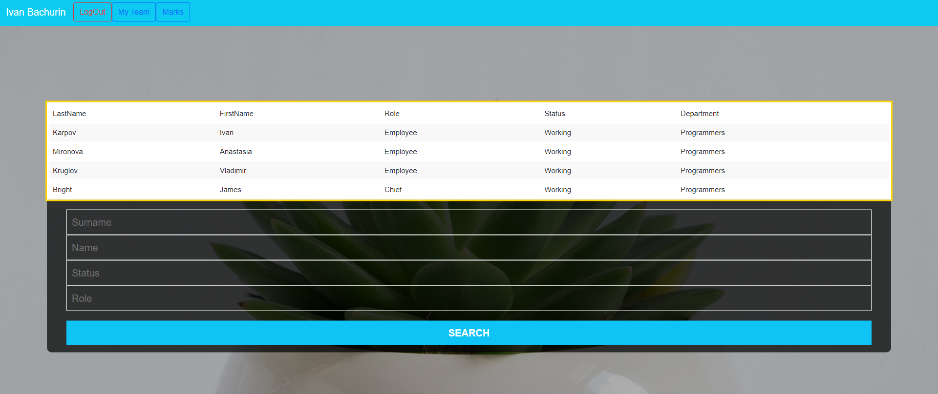 GitHub - SV1ST/EmployeePerformanceApp