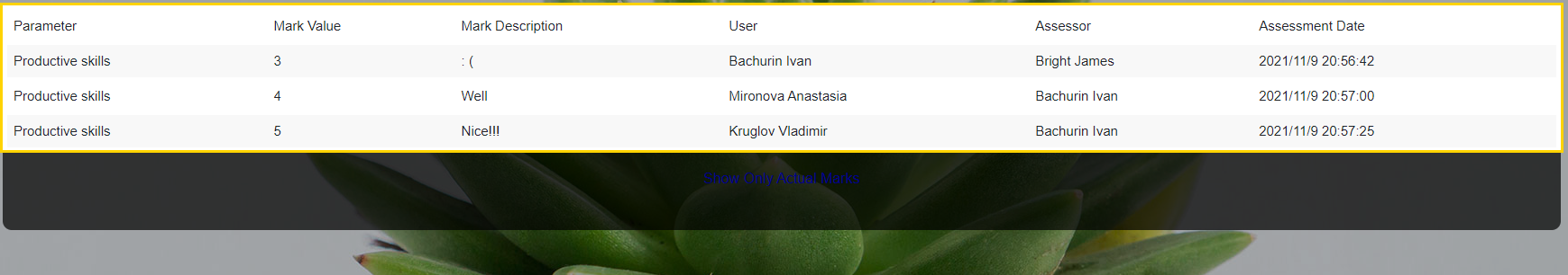 GitHub - SV1ST/EmployeePerformanceApp