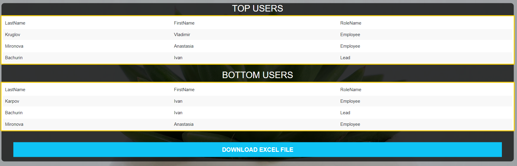 GitHub - SV1ST/EmployeePerformanceApp