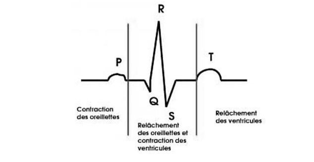 GitHub - ShadiaAITELCADI/TP3-Traitement-de-Signal