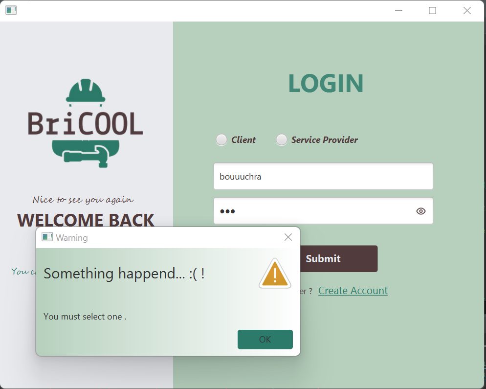 GitHub - ShadiaAITELCADI/BriCool