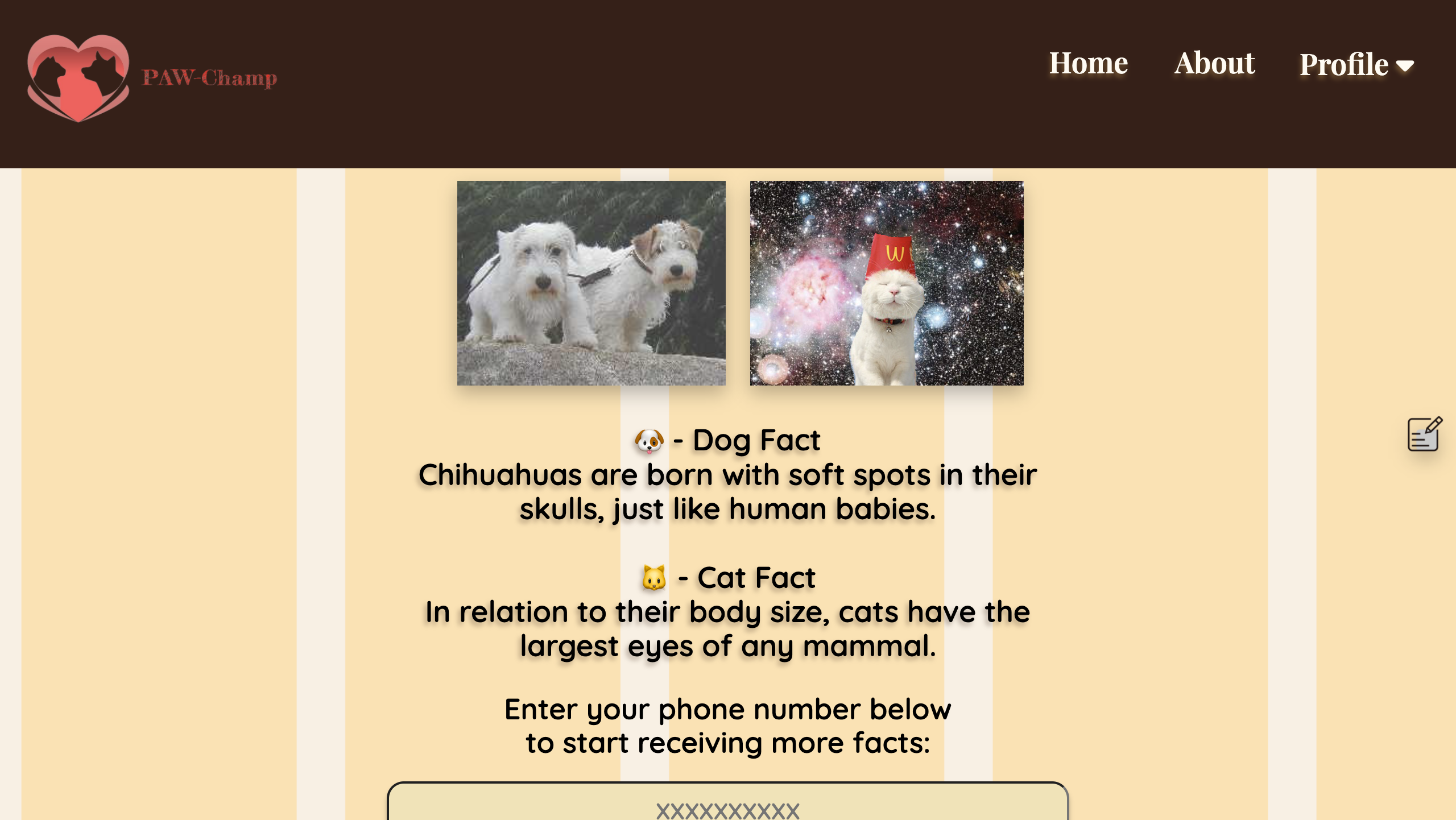 GitHub - jrosmaidy1/PAW-champ