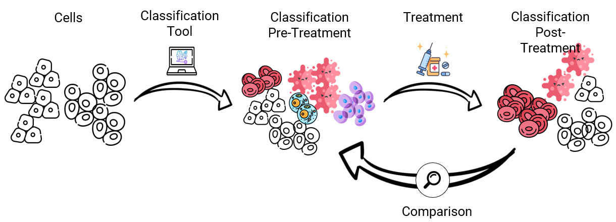GitHub - martrip/single-cell_classification
